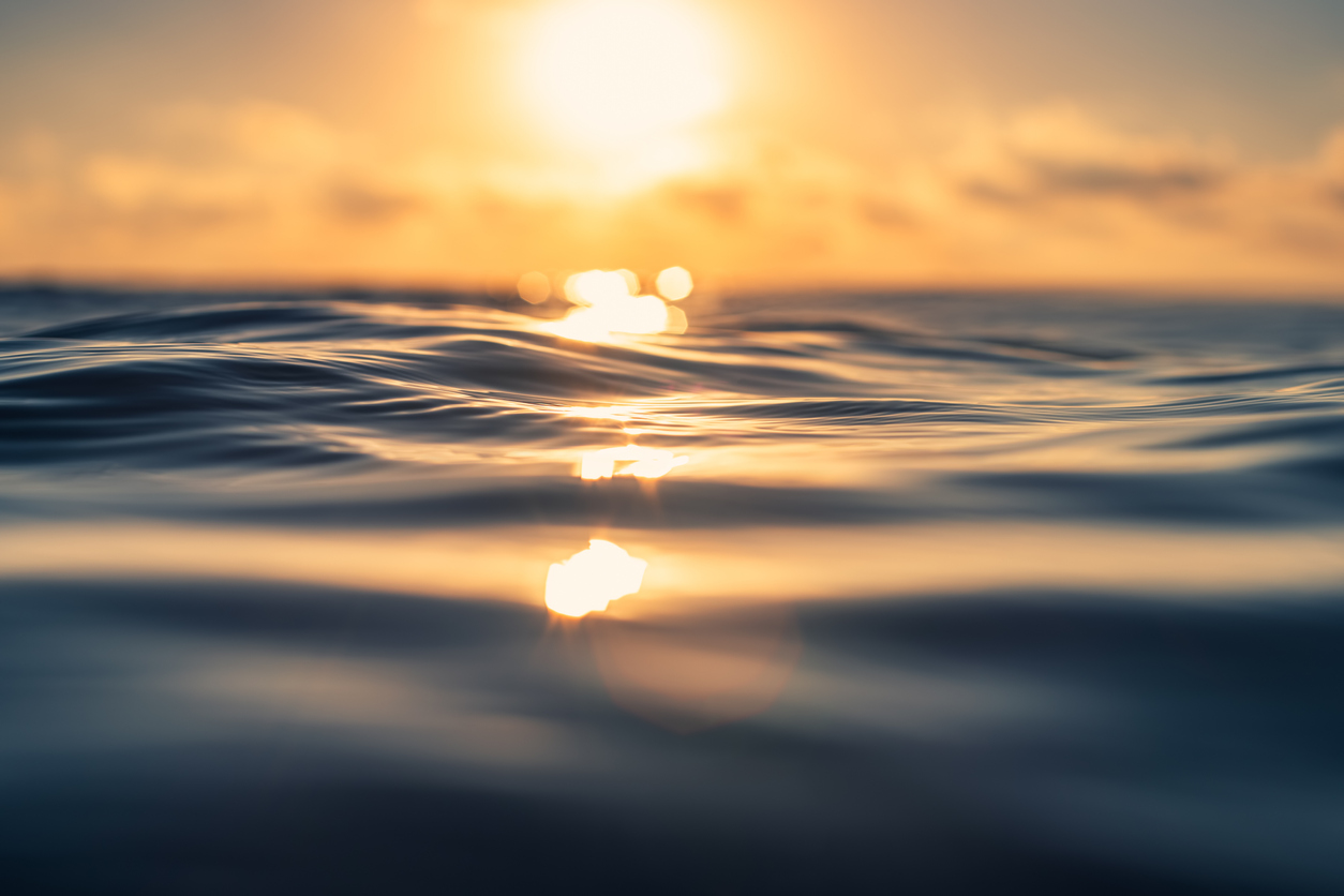 Staying Afloat - Elizabeth Gould, Author